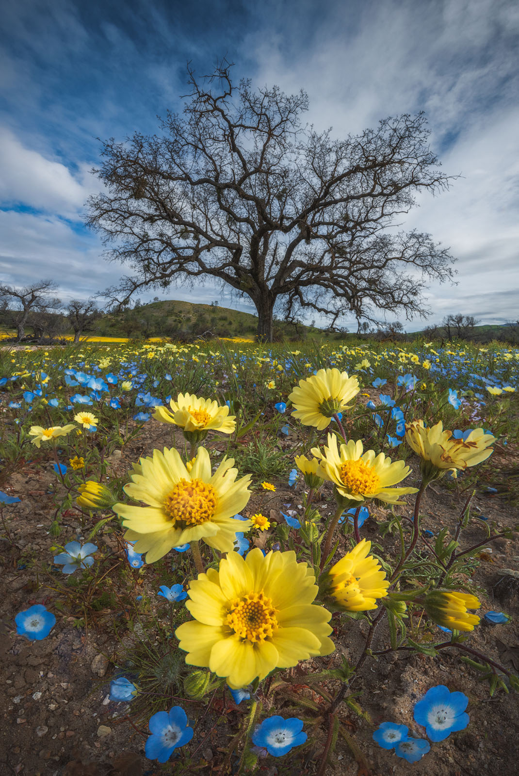 The Best Lenses for Landscape Photography | PetaPixel