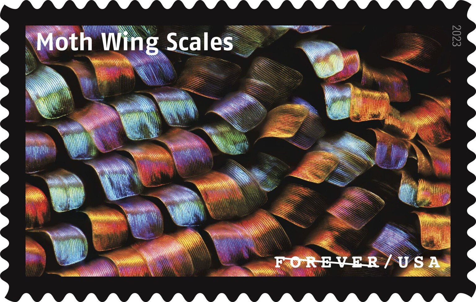 New US Postal Service Stamps Feature Beautiful Photos of Microscopic ...