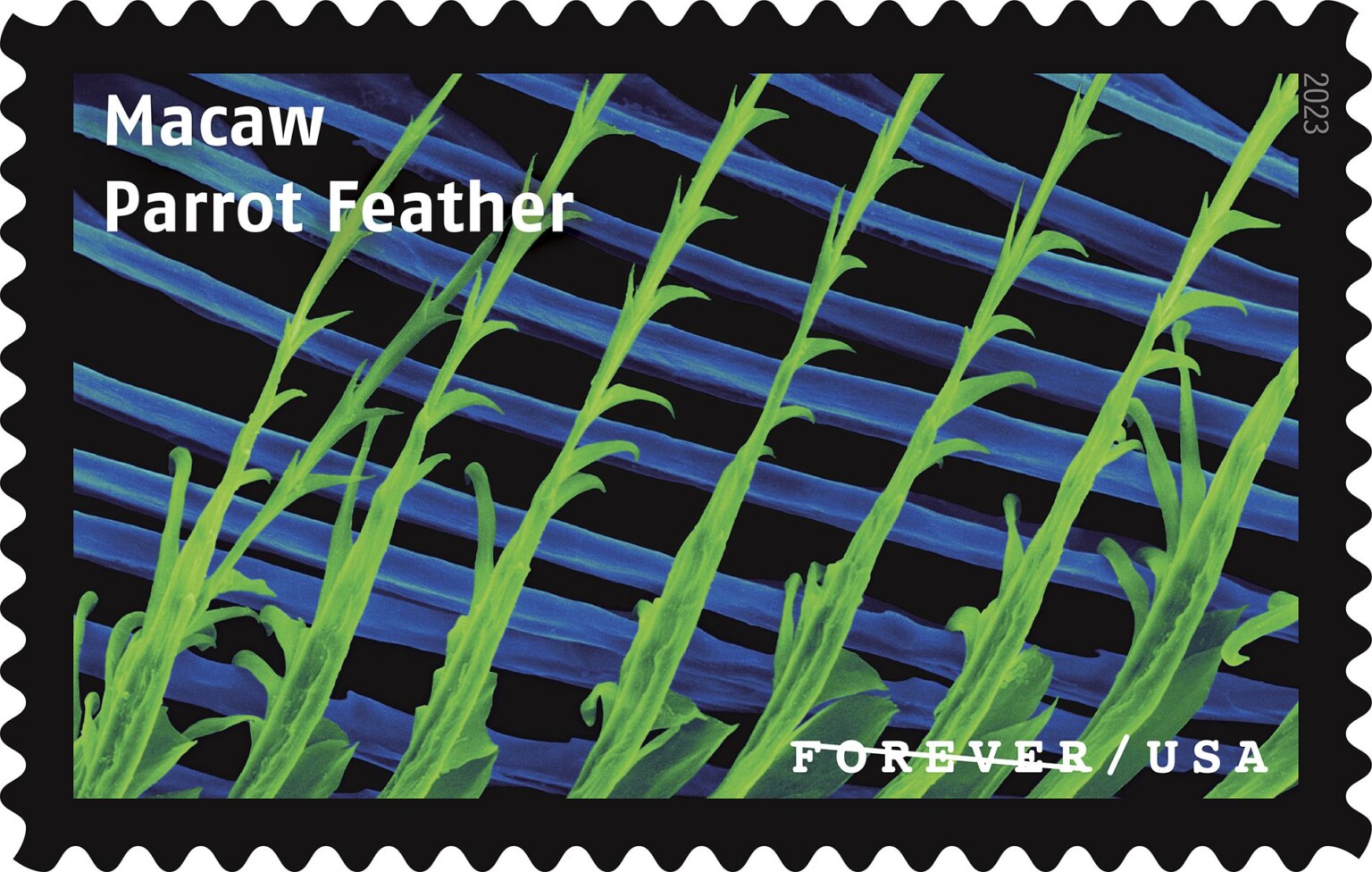 New US Postal Service Stamps Feature Beautiful Photos of Microscopic ...