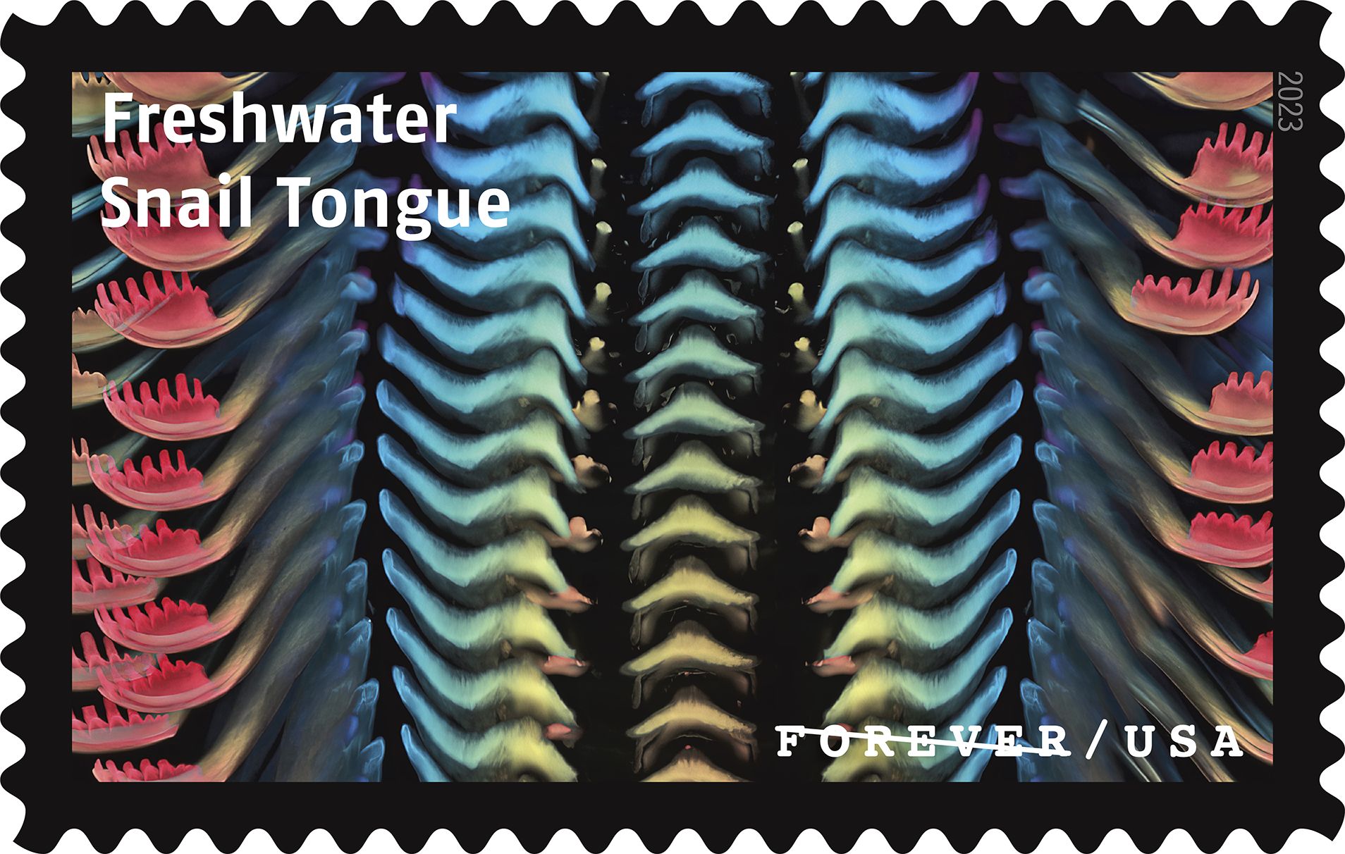 New US Postal Service Stamps Feature Beautiful Photos of Microscopic ...