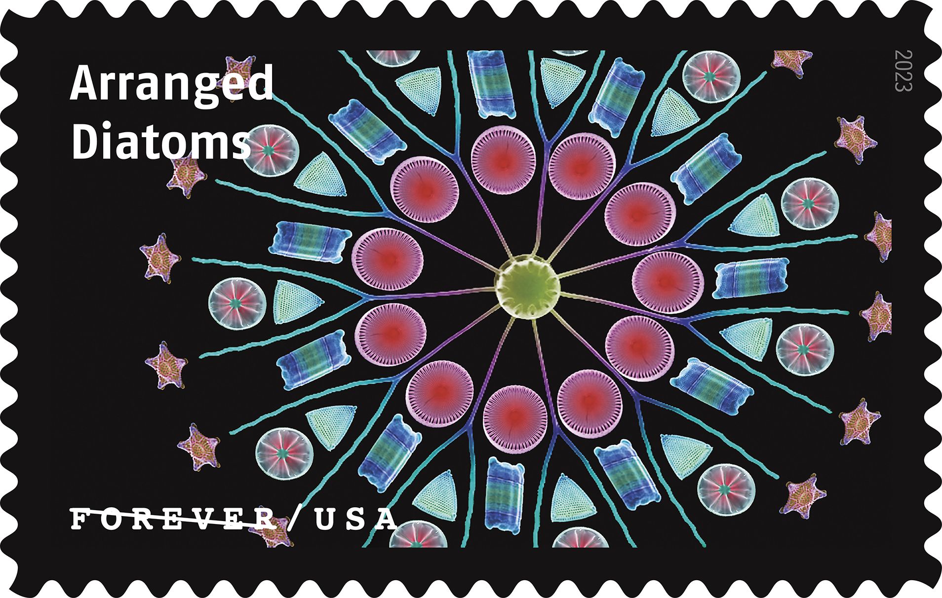 New US Postal Service Stamps Feature Beautiful Photos of Microscopic ...