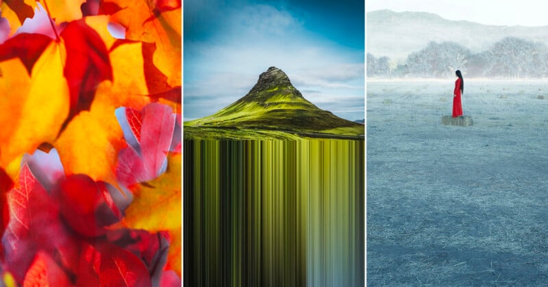 Singulart is an Online Art Gallery that Empowers Photographers | PetaPixel
