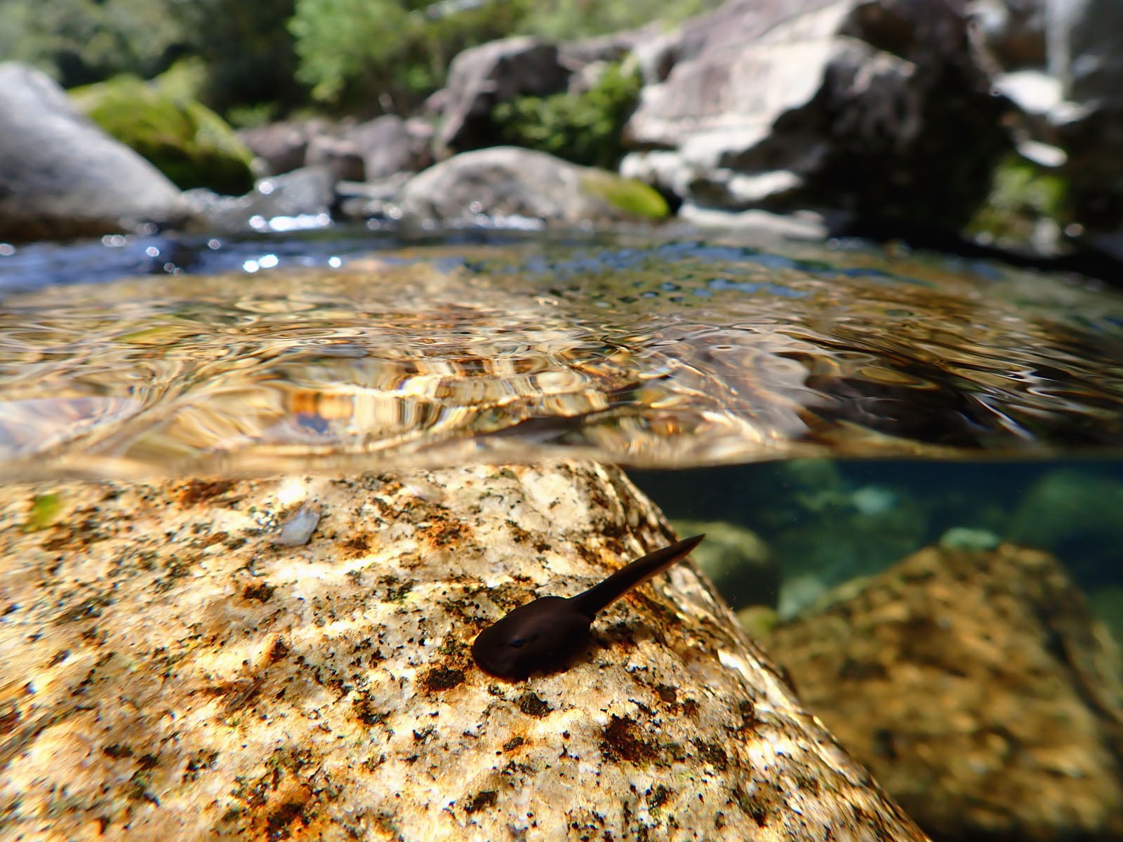 OM System's Tough TG-7 is a Rugged Companion for Outdoor Photographers ...