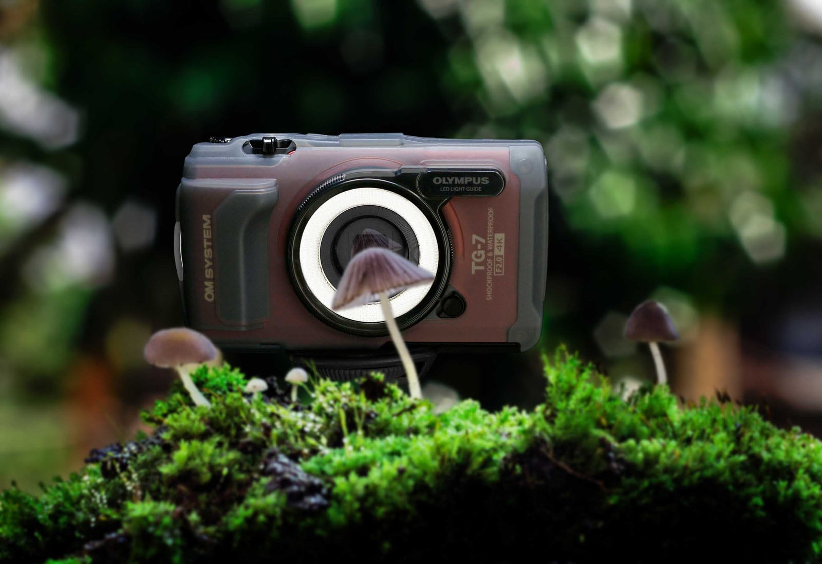 OM System's Tough TG-7 is a Rugged Companion for Outdoor Photographers ...