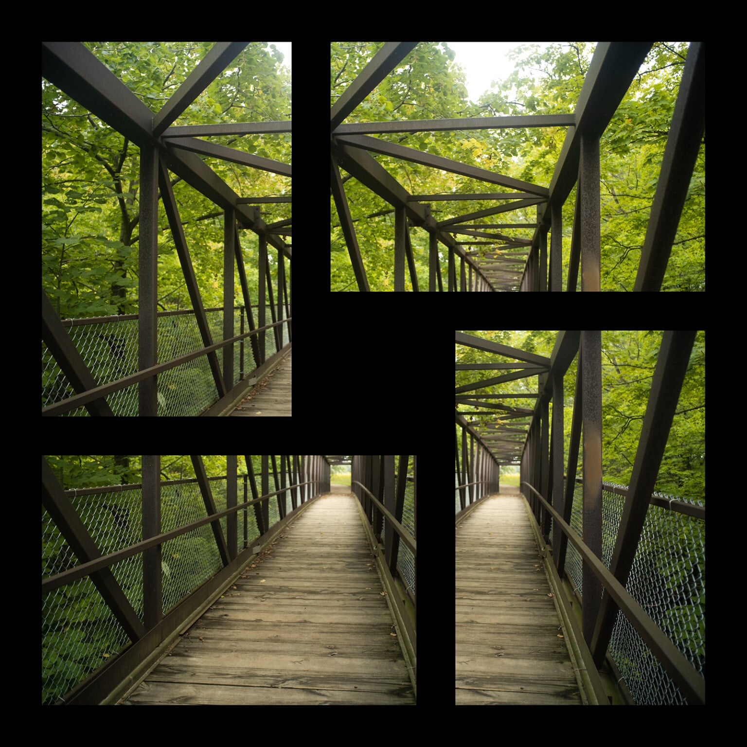 Fotodiox's Medium Format Stitching Adapters Now Available for L-Mount ...