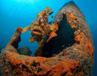 Photographer Who Spends 500 Hours Underwater Each Year Shares His Best ...