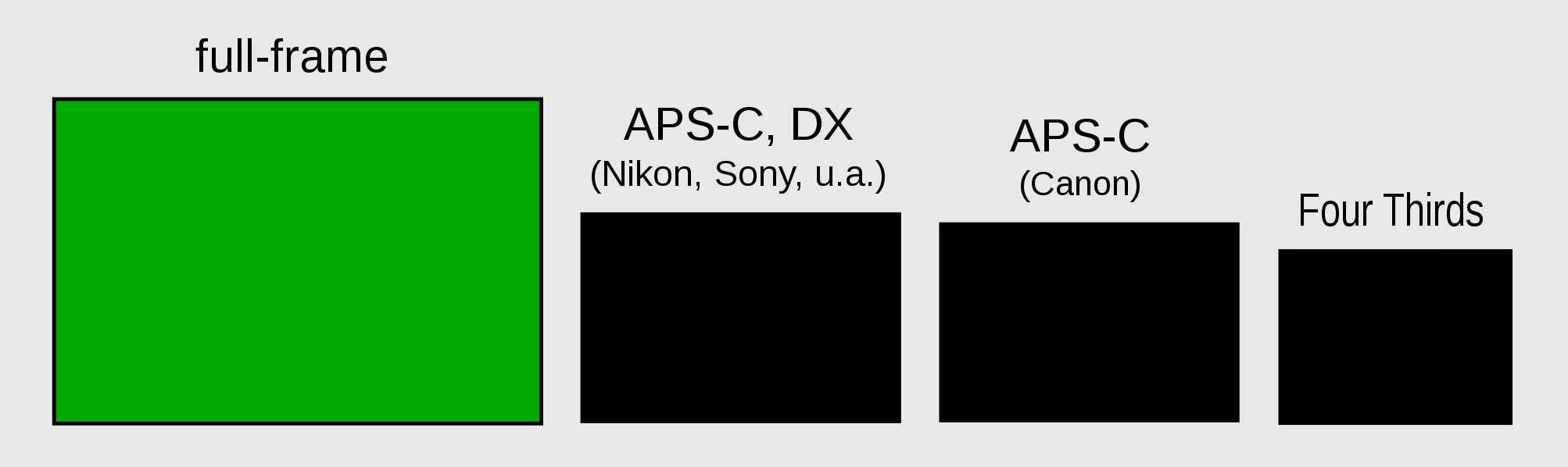 A Brief History of Olympus, From the Six to OM Digital | PetaPixel