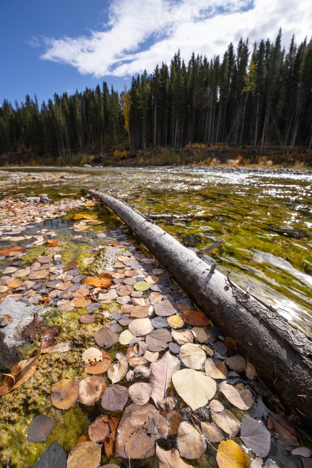 Sigma 10-18mm f/2.8 DC DN Contemporary: Compact Compromises | PetaPixel