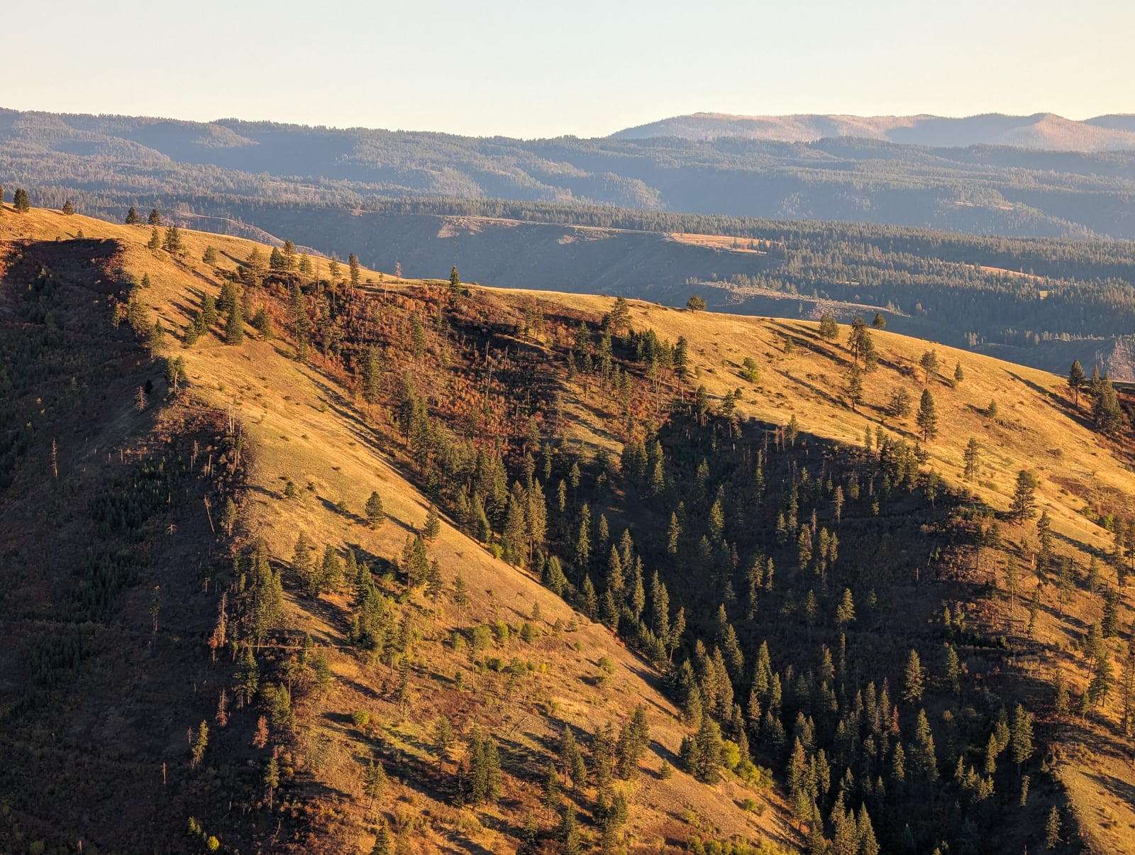 Google Pixel 8 Pro Review for Photographers: Android's Best Camera ...