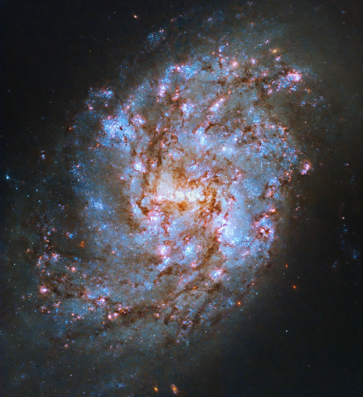 Galaxies Galore: Hubble Celebrates Galaxies With New Photos All Week ...
