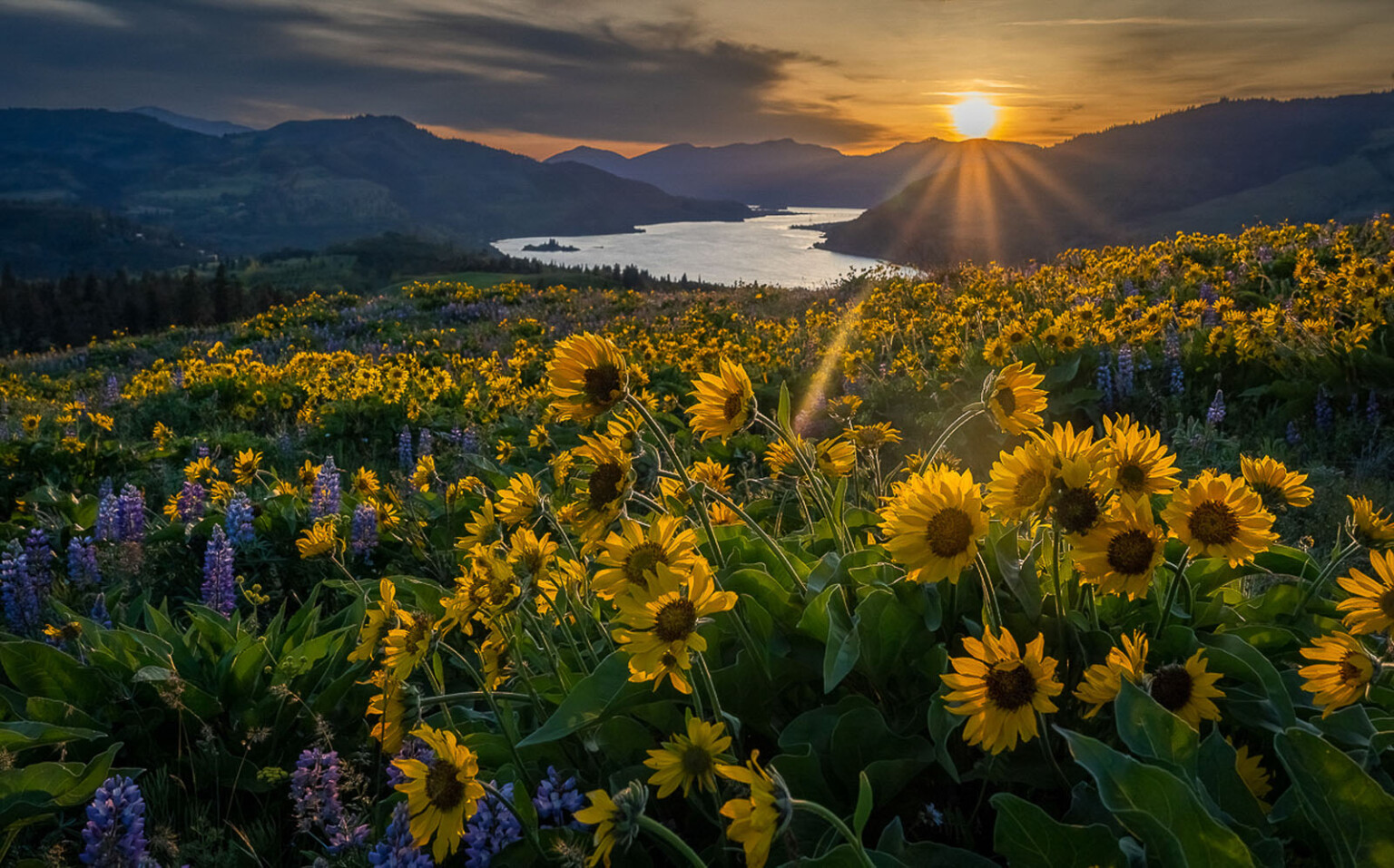 The Splendid Nature Photos That Won NANPA's 2024 Showcase | PetaPixel