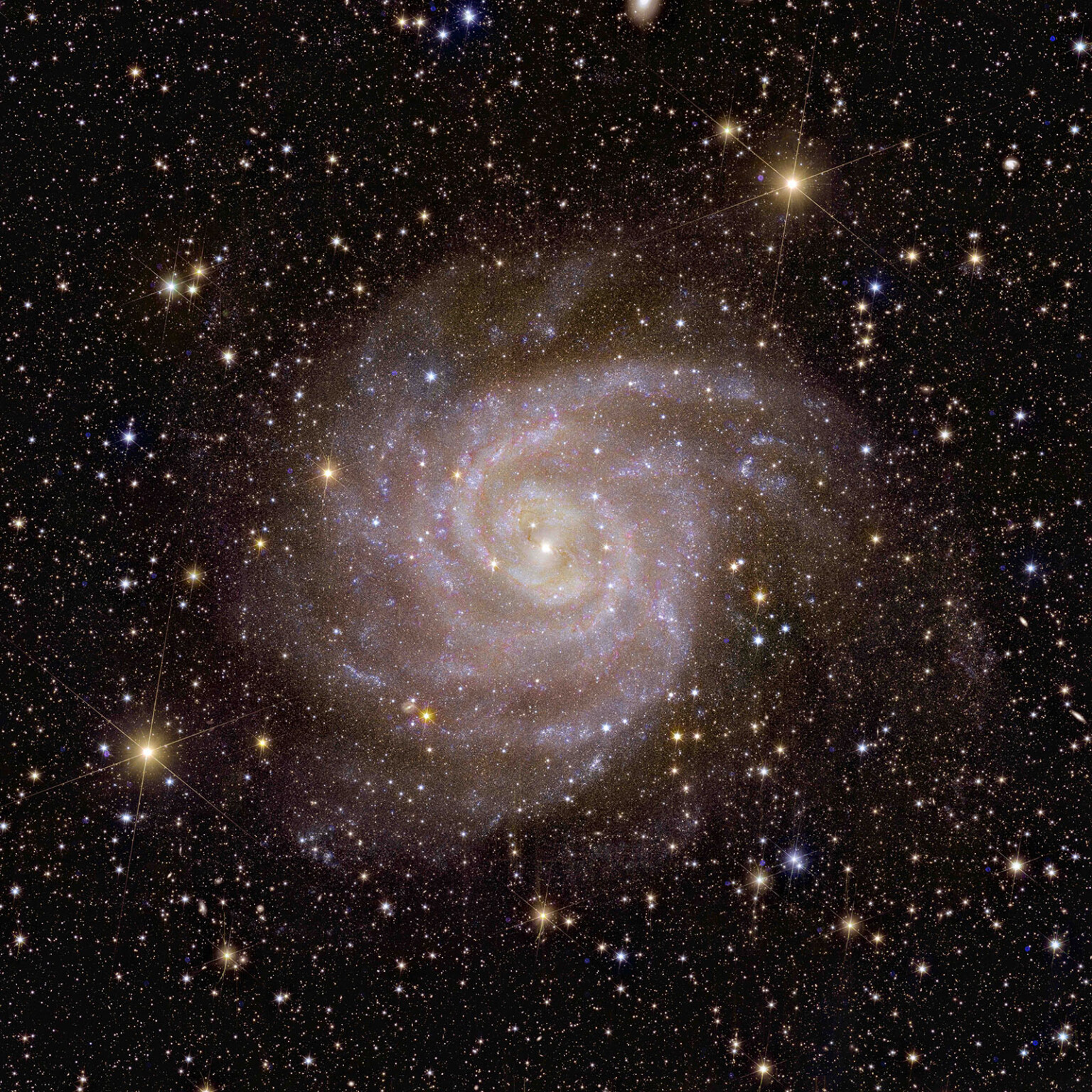 Space Telescope on a Quest to Solve Dark Matter Delivers First Images ...