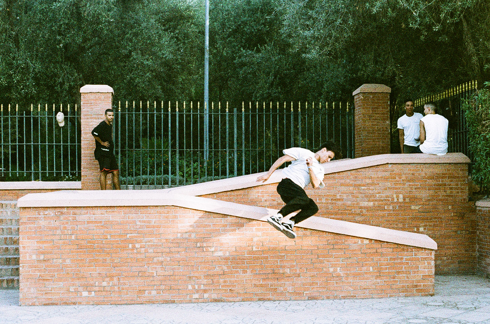 Shooting My First Roll of Film in 20 Years: Was it Always This Grainy ...