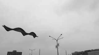 Mesmerizing Photos Reveal the Complex Flight Paths of Birds | PetaPixel