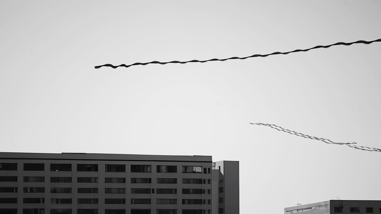 Mesmerizing Photos Reveal the Complex Flight Paths of Birds | PetaPixel