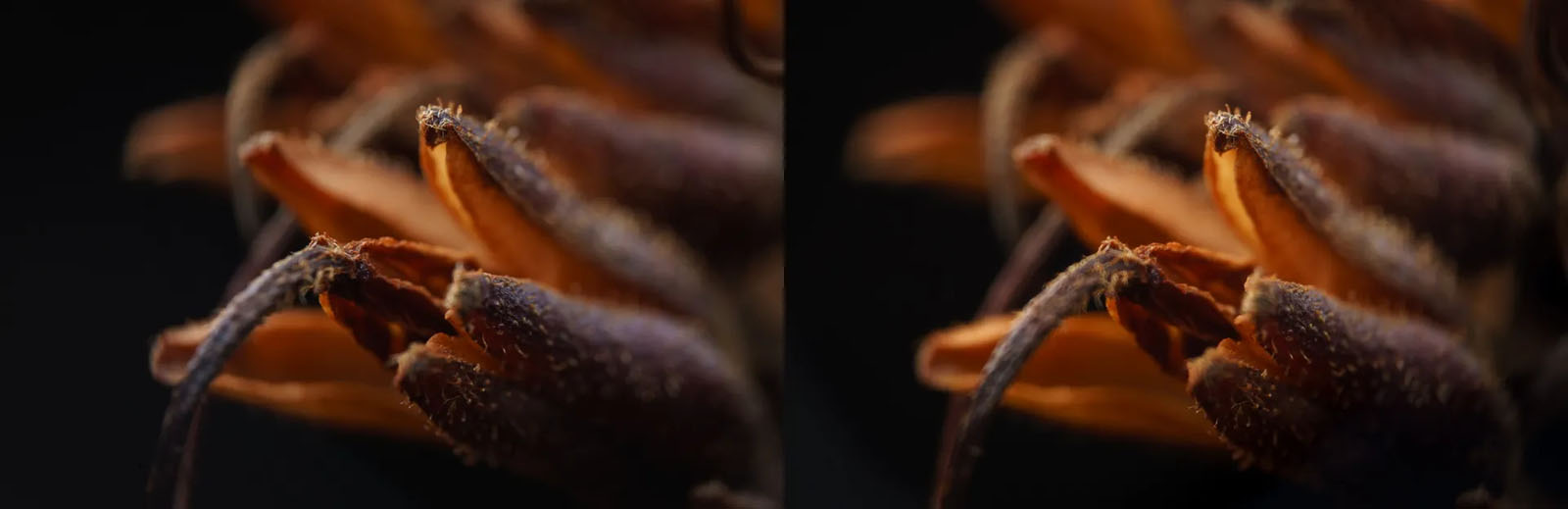 This 3D-printed Stereoscopic Macro Lens is Weird and Wonderful | PetaPixel