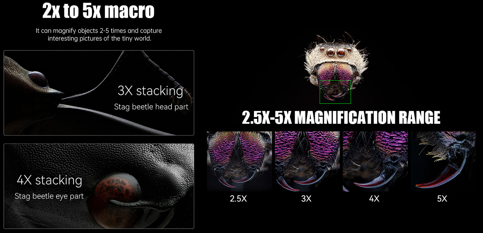 AstrHori 25mm f/2.8 2x-5x Is an Ultra-Macro Lens for Full-Frame Cameras ...