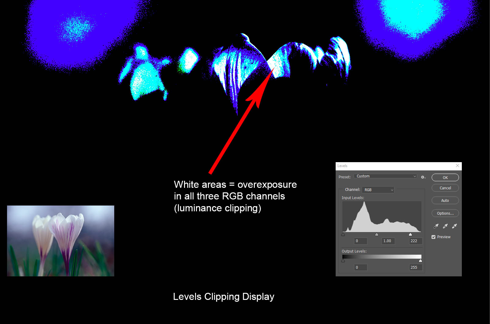 Unlocking the Power of Photoshop Levels for Photography | PetaPixel