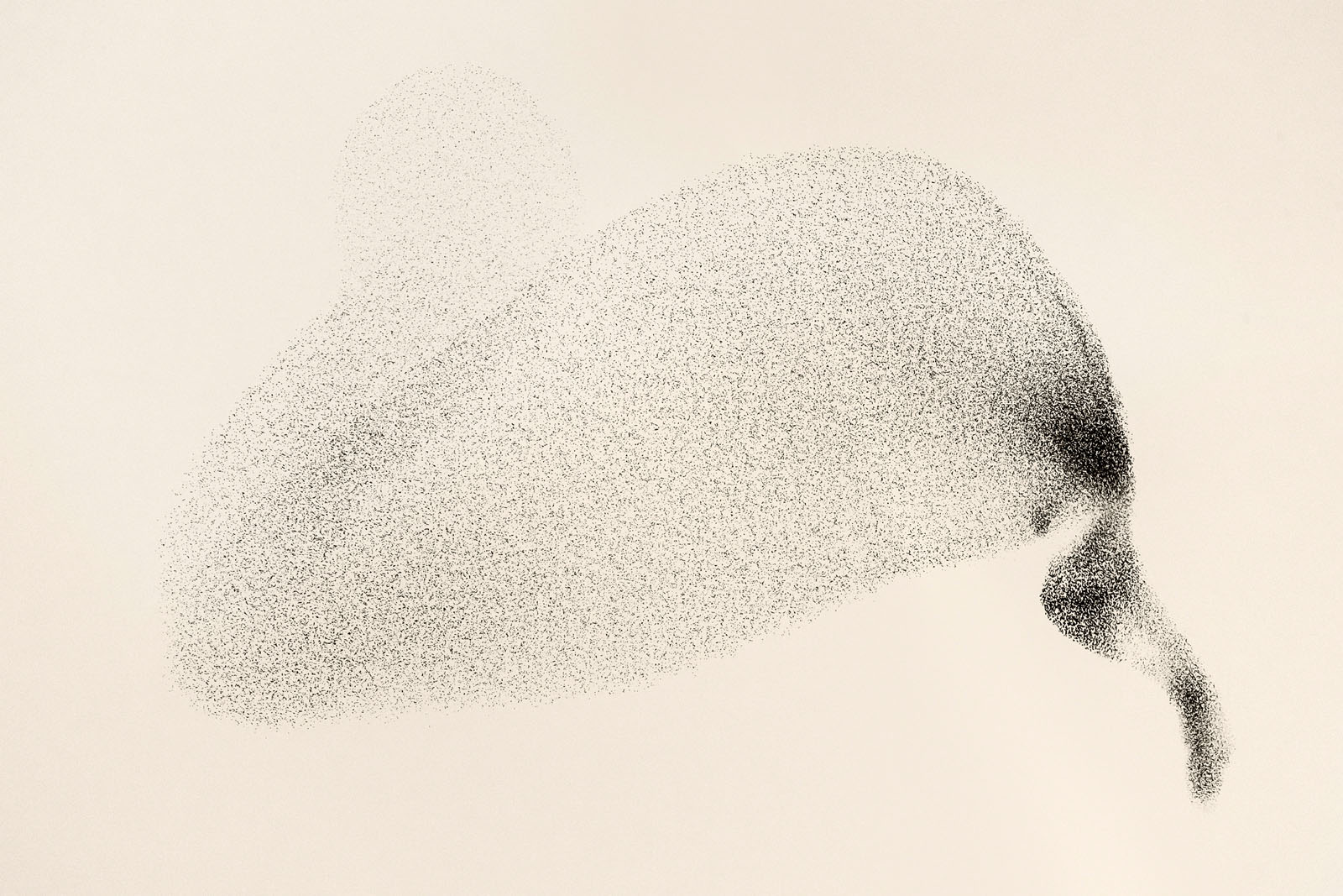 A Photographer's Hauntingly Beautiful Images of Starling Murmurations ...
