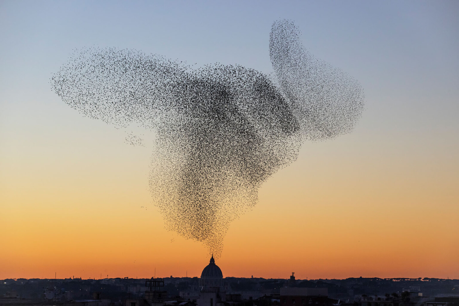 A Photographer's Hauntingly Beautiful Images of Starling Murmurations ...