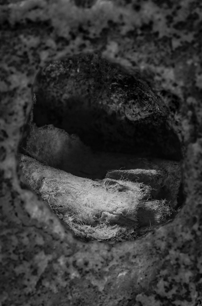 Photographer Captures 'Hidden World' of Notes Placed Inside Jerusalem's ...