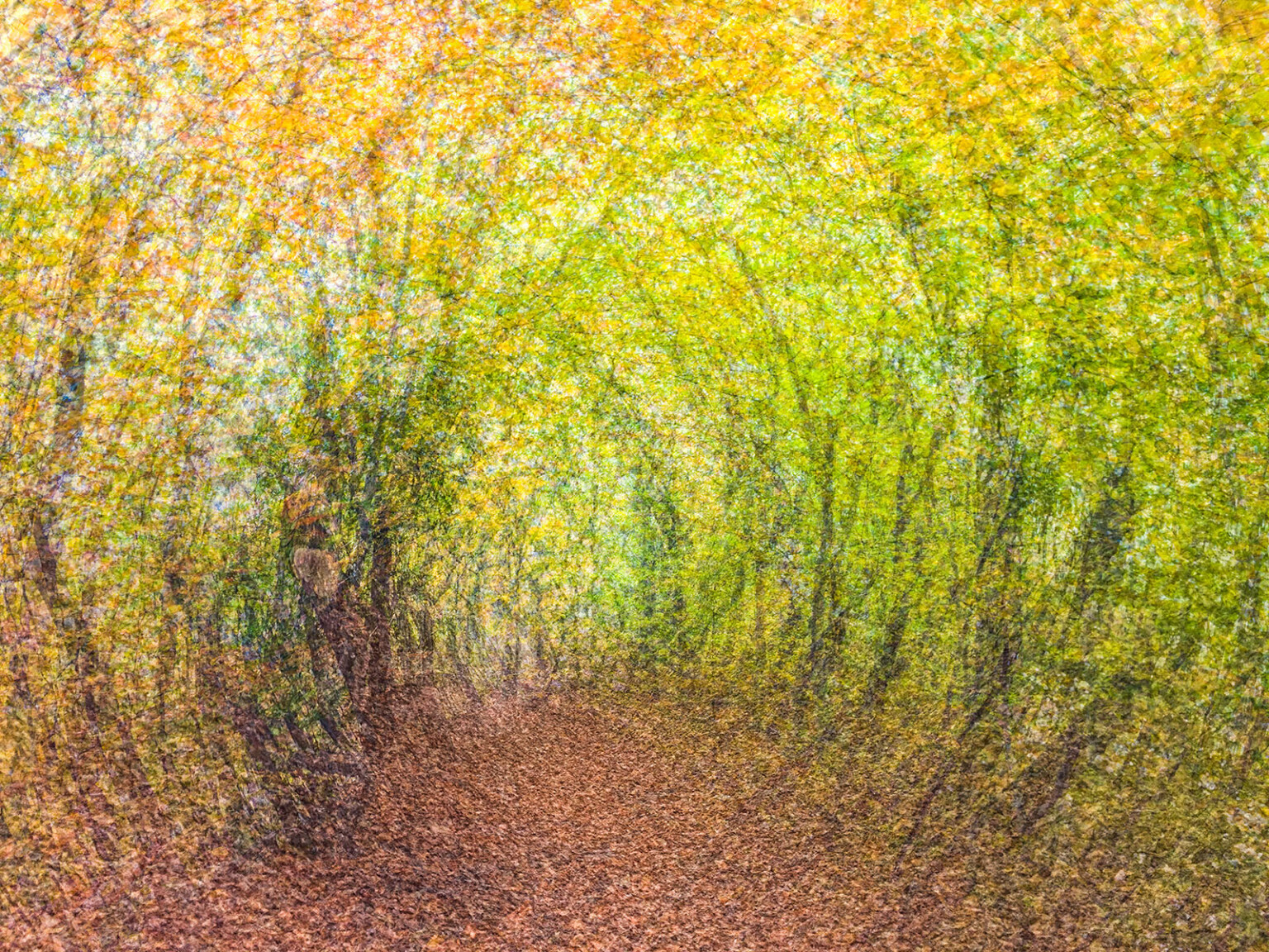 Photo Time Traveler: Stephen Wilkes on His Career Evolution | PetaPixel