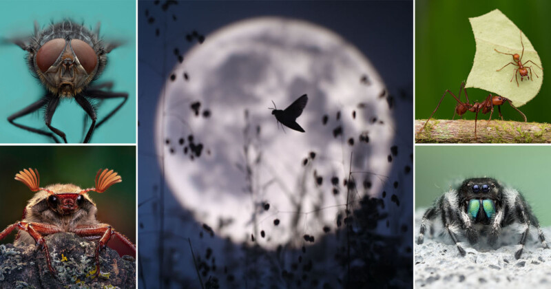 PetaPixel | Page 19 of 1017 | Photography and Camera News, Reviews, and ...