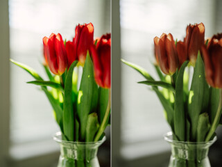 What is Color Space and Why Does it Matter? | PetaPixel