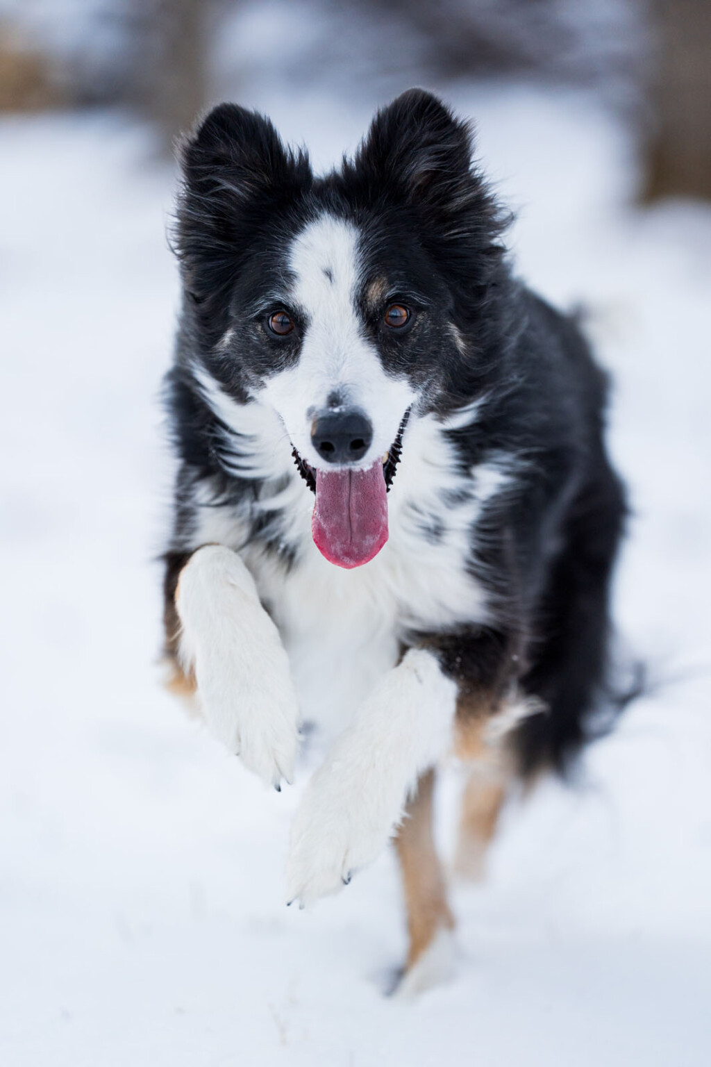 Sony a9 III Review: A Costly Revolution in Camera Technology | PetaPixel