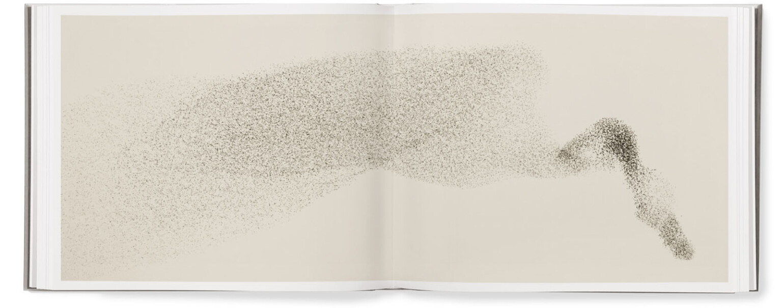 A Photographer's Hauntingly Beautiful Images of Starling Murmurations ...