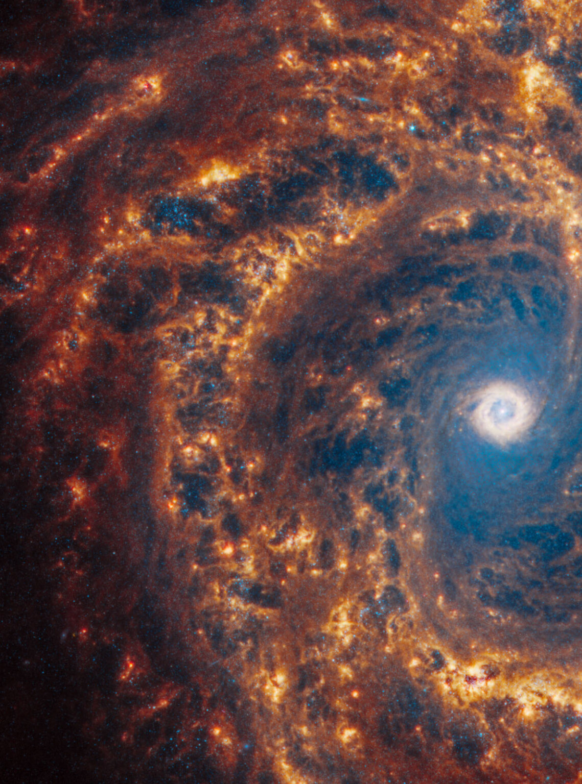Webb Captures 'Extraordinary' Photos of 19 Nearby Spiral Galaxies ...
