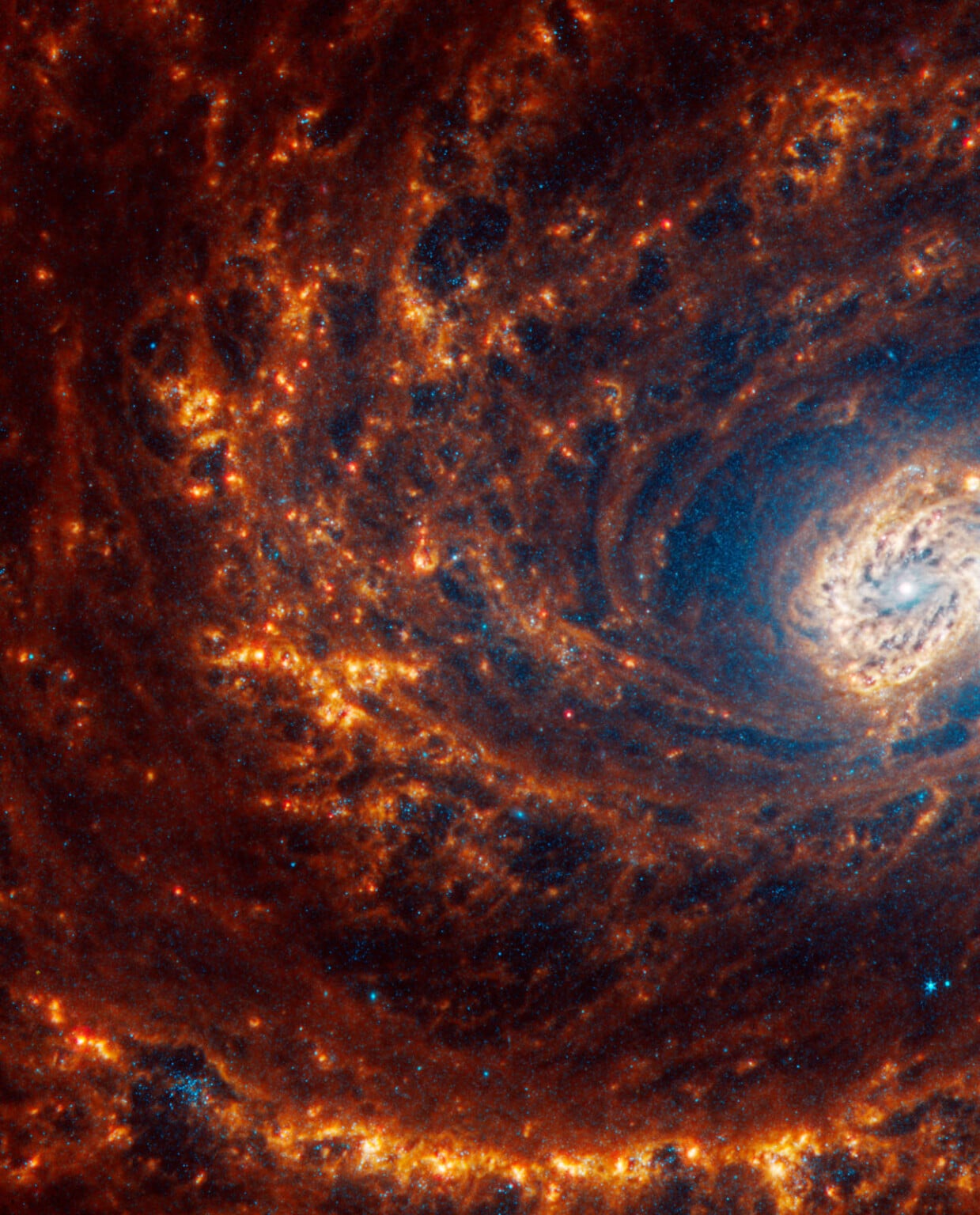Webb Captures 'Extraordinary' Photos of 19 Nearby Spiral Galaxies ...