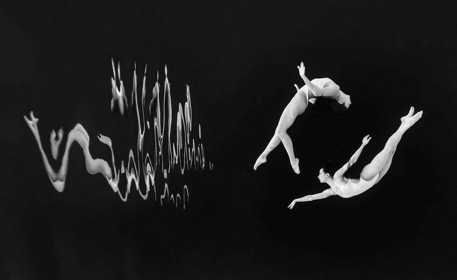 Haunting Image of Whale Skeletons Wins Underwater Photographer of the ...