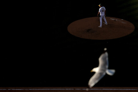 Pro Baseball Photo Competition Announces Inaugral Winners | PetaPixel