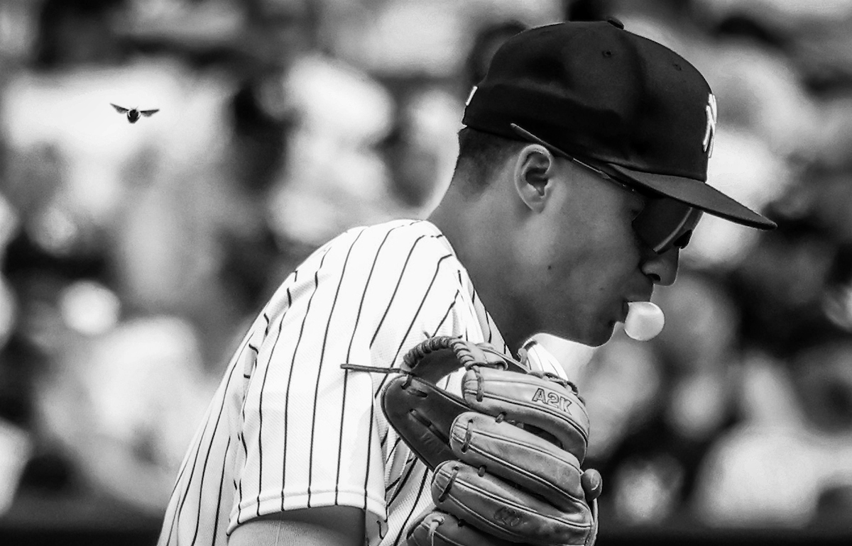 Pro Baseball Photo Competition Announces Inaugral Winners | PetaPixel
