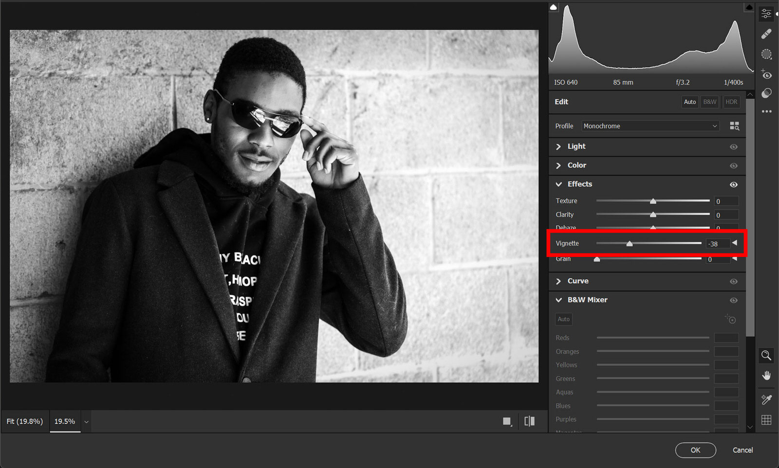 How to Use the Camera Raw Filter in Photoshop | PetaPixel