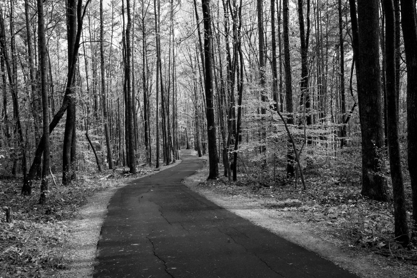 The Enduring Value of B&W Photos in the Age of Digital and Color ...
