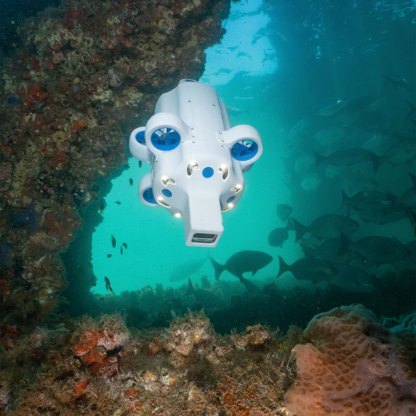 The Hydrus Underwater Drone Wants to Be the DJI of the Sea | PetaPixel