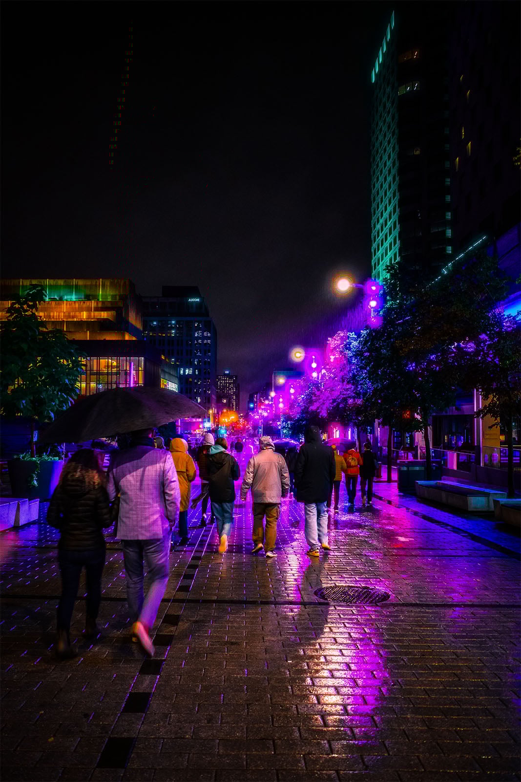 Ricoh's New GR III HDF and GR IIIx HDF Cameras Feature a Dreamy Filter ...