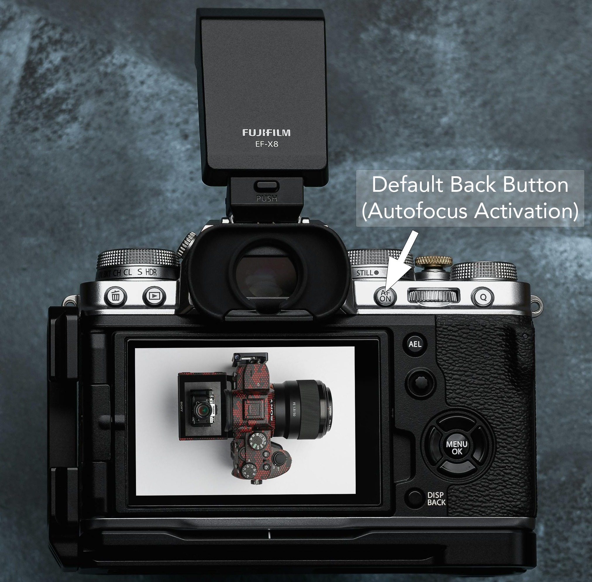 Back Button Focus: Everything You Need to Know | PetaPixel
