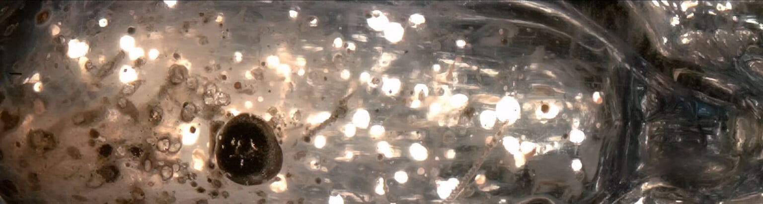 Watch Old-School Single-Use Flash Bulbs Explode in Slow-Mo | PetaPixel