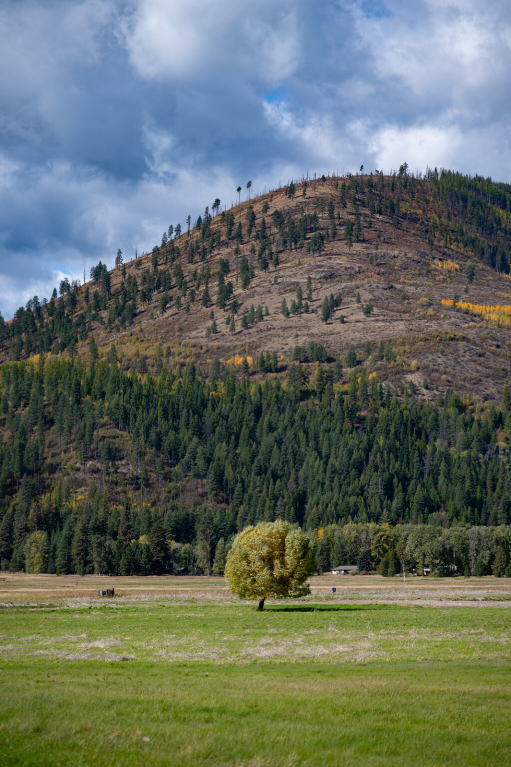 Celebrate a Year of Chris and Jordan by Watching Their Idaho Travel ...