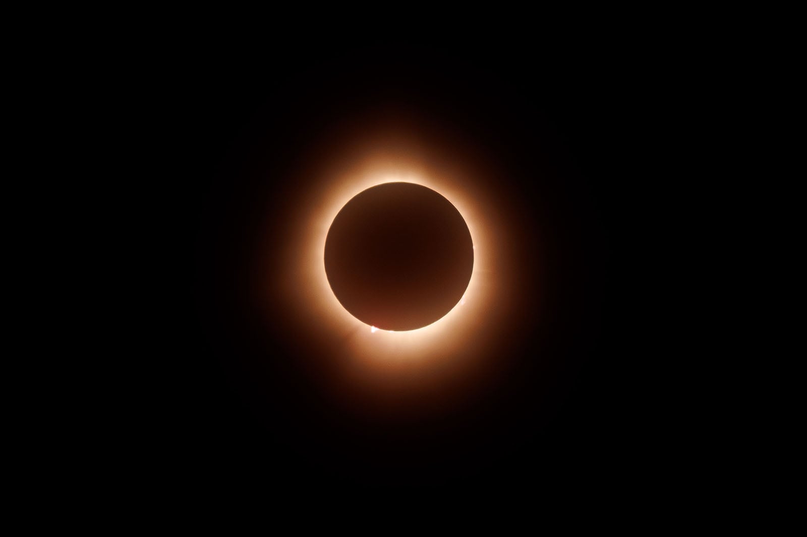 Airplane Kissing the Solar Eclipse Wins Inaugural Photo Competition ...