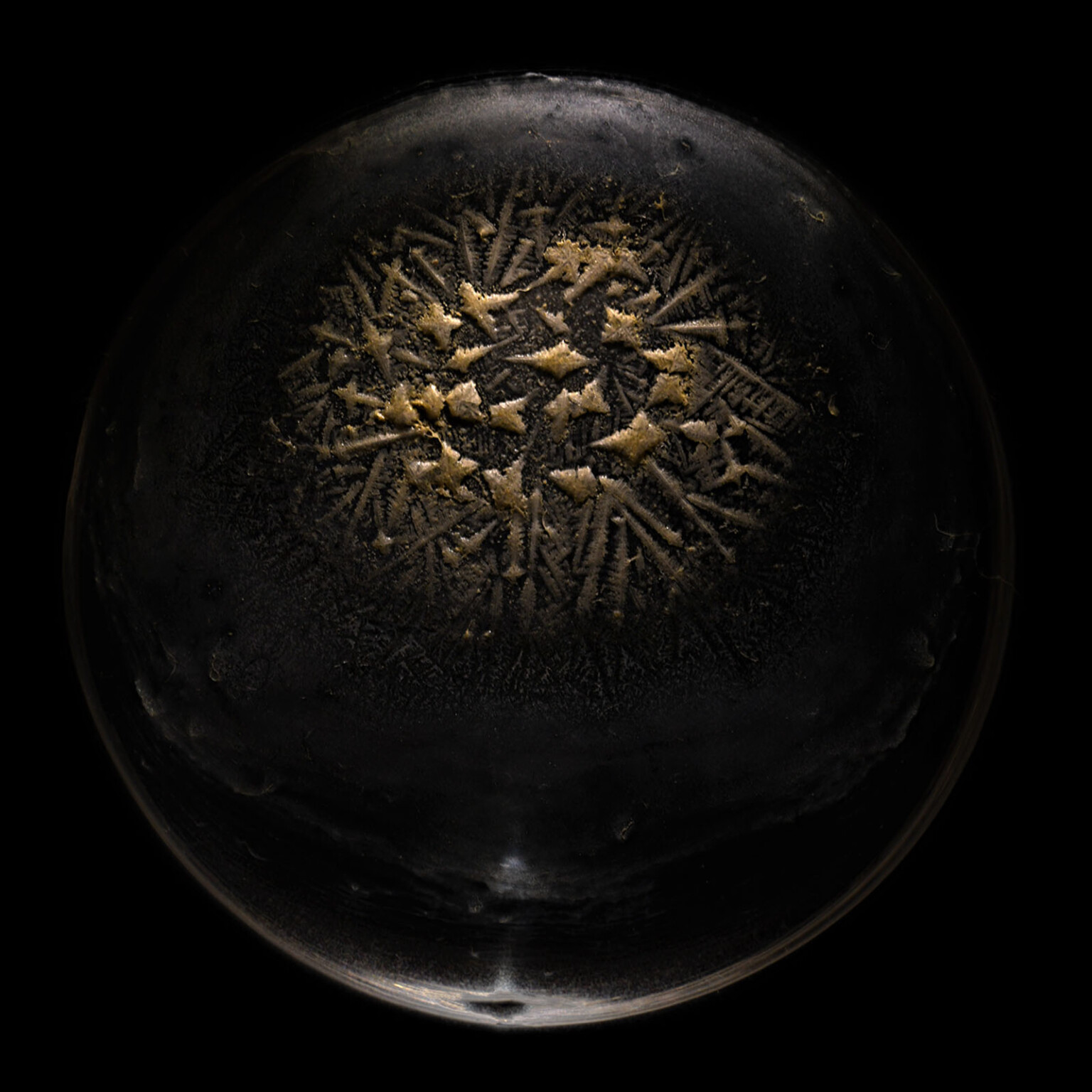 These Photos of Dried Whisky Glasses Look Like Alien Worlds | PetaPixel