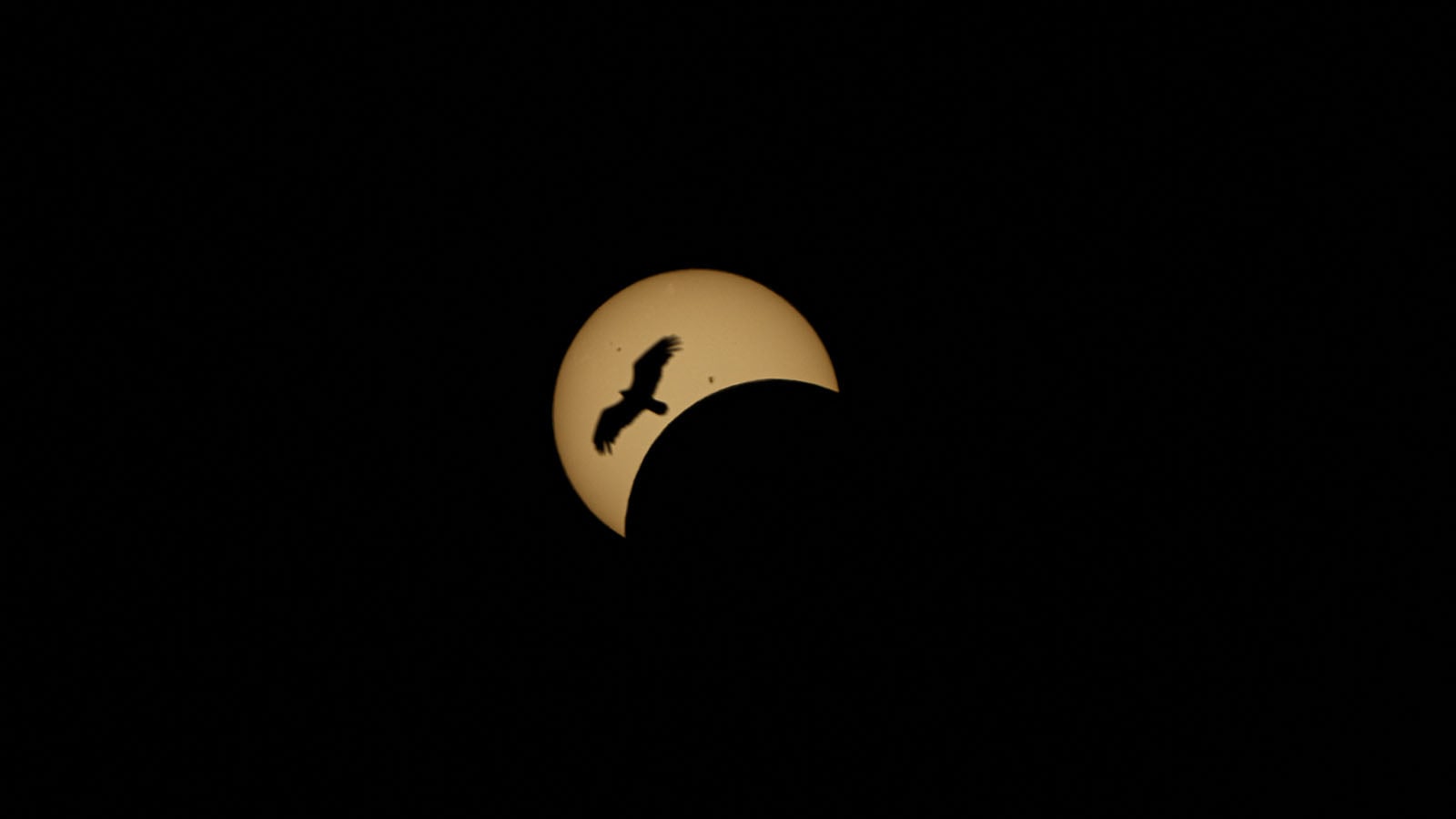 Airplane Kissing the Solar Eclipse Wins Inaugural Photo Competition ...