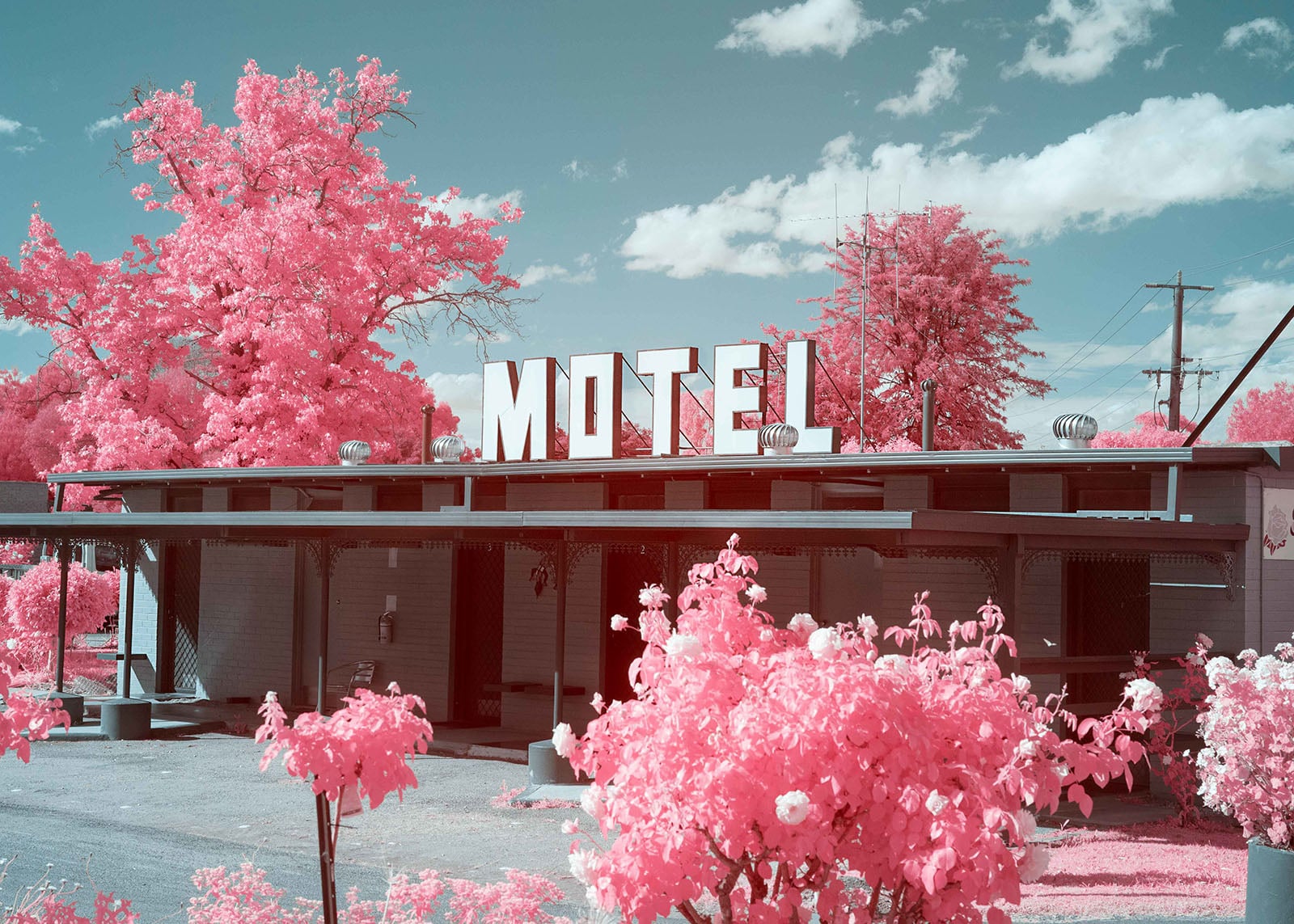 Infrared Photos Capture the Quirkiness of the Rural Australia | PetaPixel