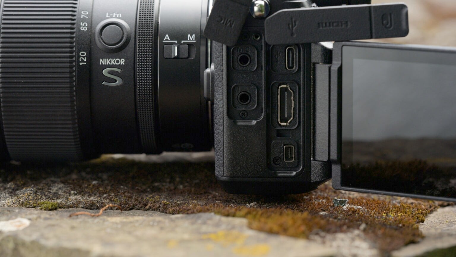Nikon Z6 III Initial Review: A Middleweight Fighter With Heavyweight ...