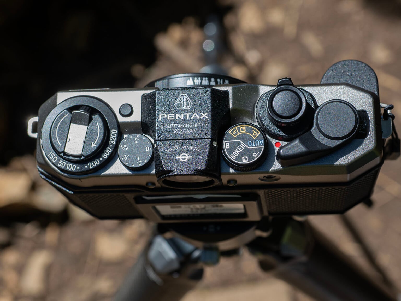 Pentax 17 Review: A Brand-New Film Experience Worth Having | PetaPixel