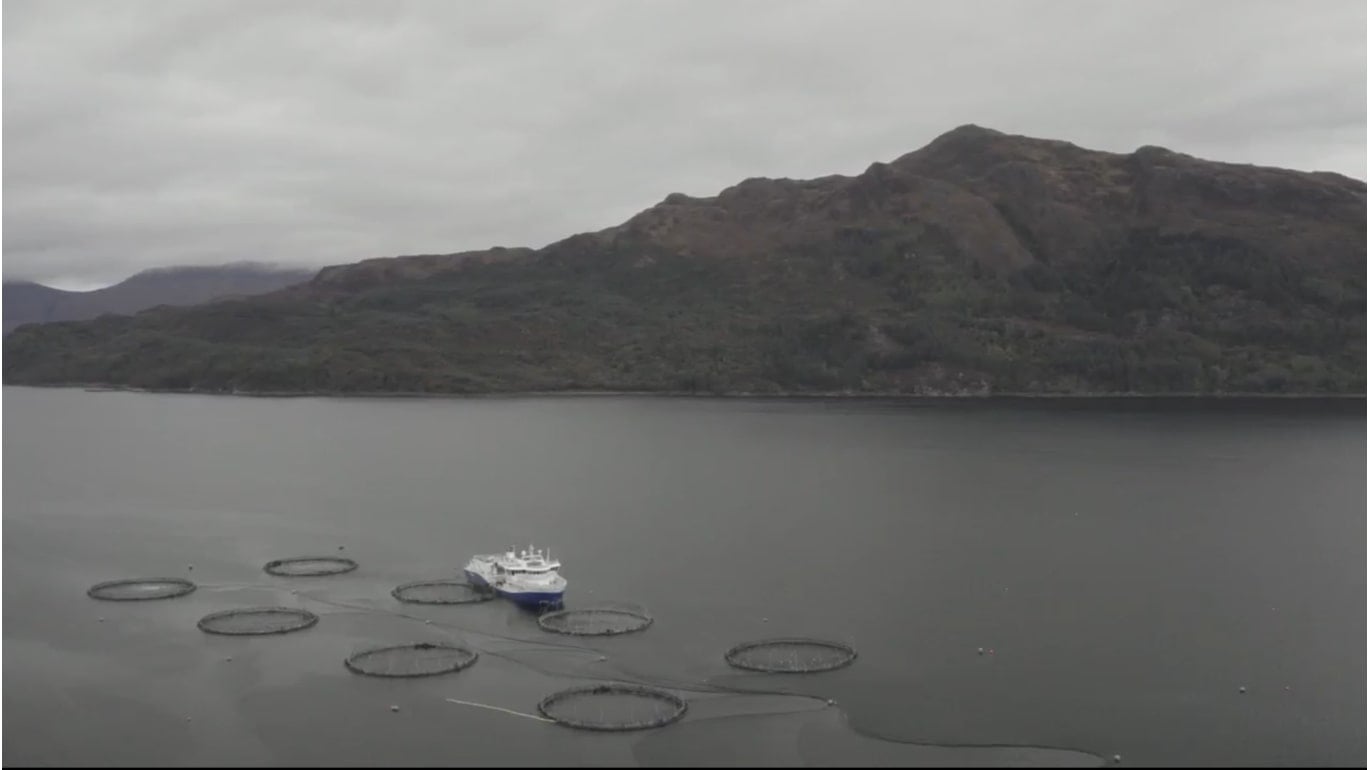 Photographer Sues Netflix for Using His Images in 'You are What You Eat ...