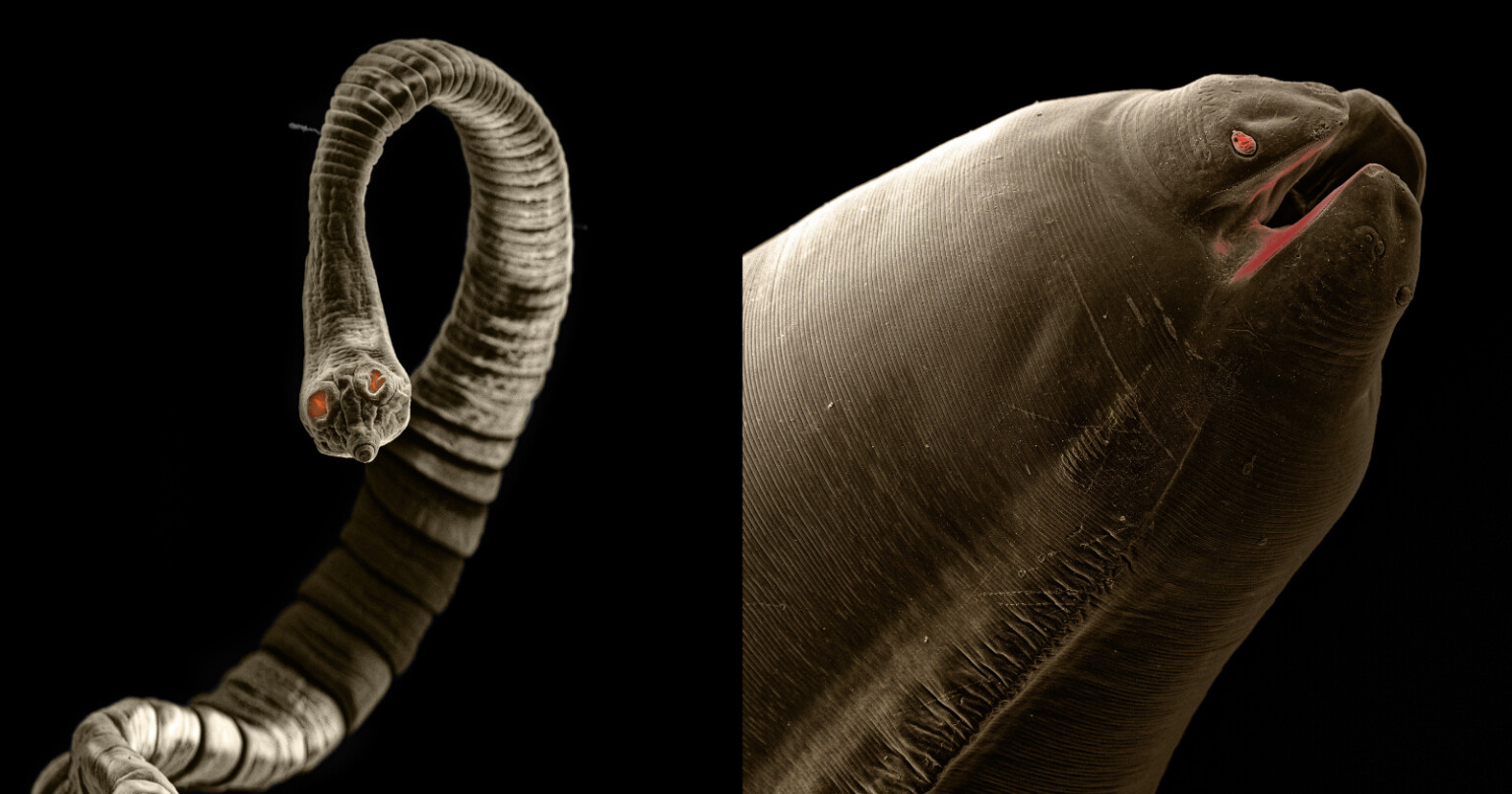 PetaPixel | Page 5 of 1391 | Photography and Camera News, Reviews, and ...